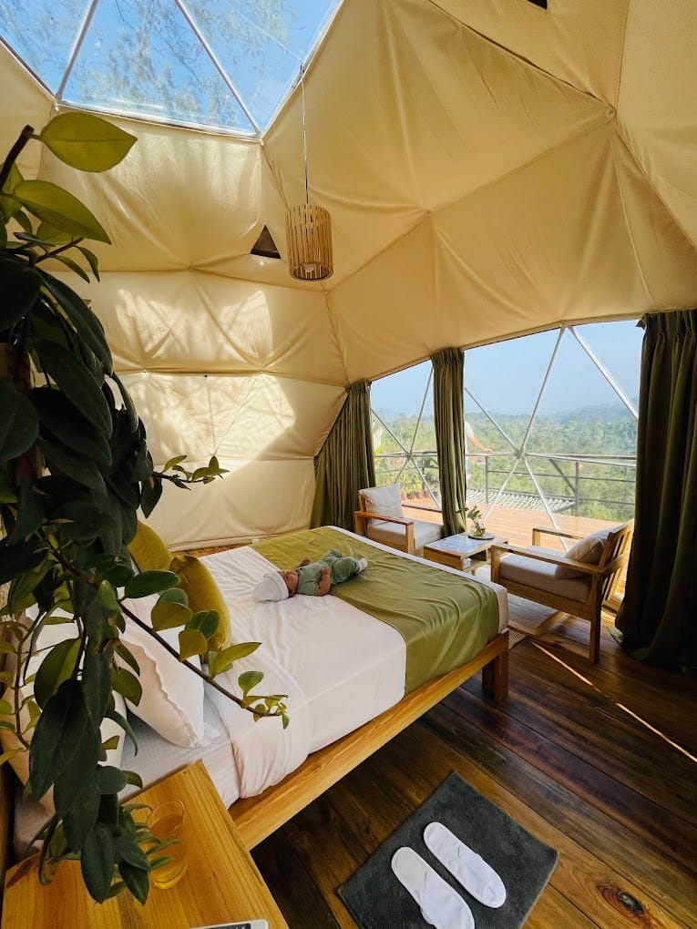 Geodesic Domes in Wayanad: A Luxury Retreat Amidst Tea Plantations ...