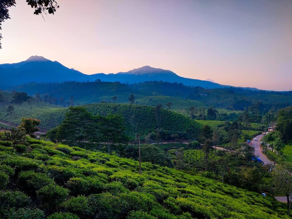 Geodesic Domes in Wayanad: A Luxury Retreat Amidst Tea Plantations ...