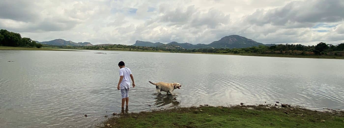 Pet-Friendly Farm Stays Near Bangalore | Pricing, Places, Best Time ...