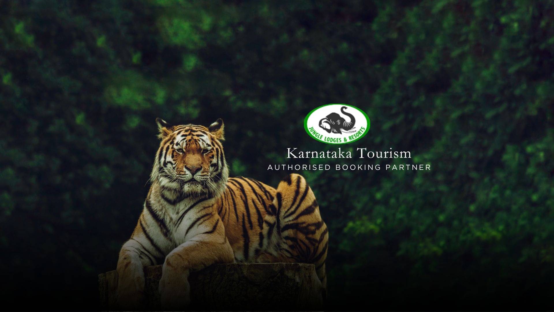 Best Jungle Resorts in Karnataka - Jungle Lodges Booking Platform | Avathi