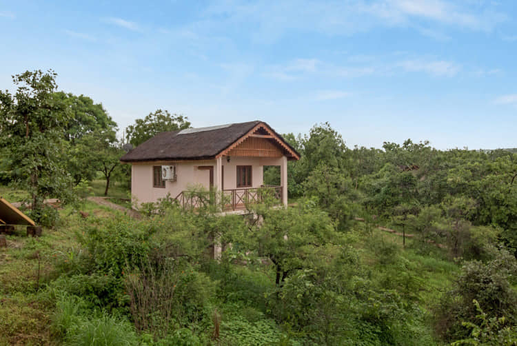 Blackbuck Resort – Jungle Lodges & Resorts Wildlife Escape in Karnataka