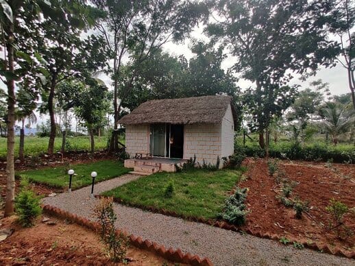 Jungle Resorts, Farm Stays & Outdoor Adventures near Bangalore | Avathi