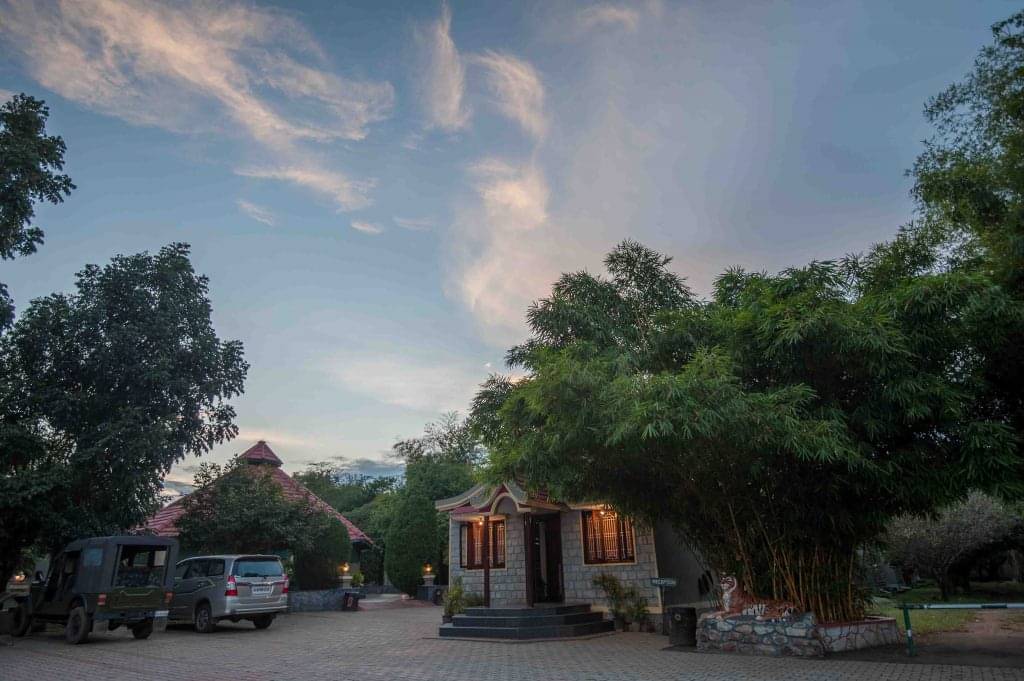 Stay at Bandipur Wilderness Retreat | Best Jungle Resort in Karnataka