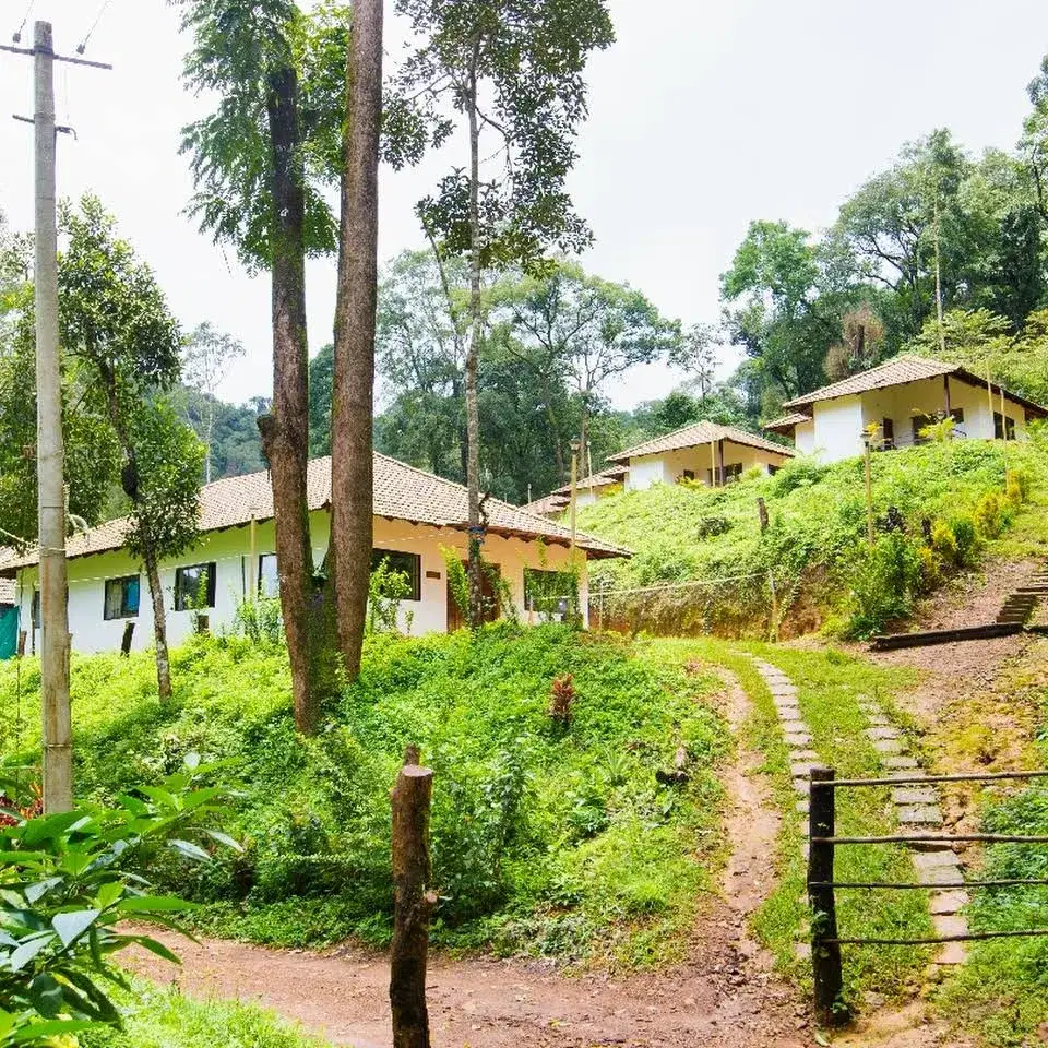 Elegant Hillside Cottages in Coorg