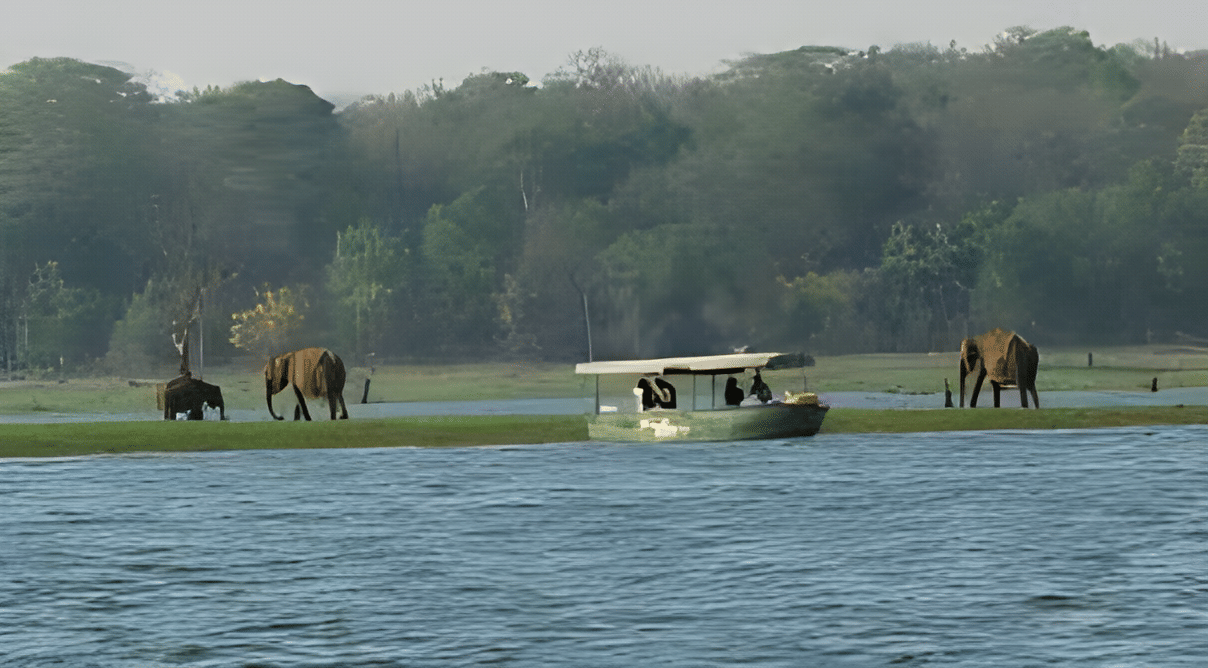 Mango Aura Farmstay – A Scenic Farm Stay with Luxury & Adventure