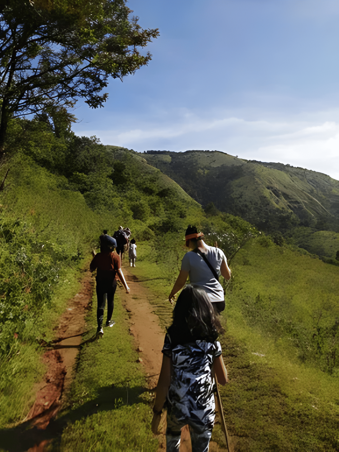 Longest Zipline in Wayanad, Kerala - Prices, Places, Best Time & More