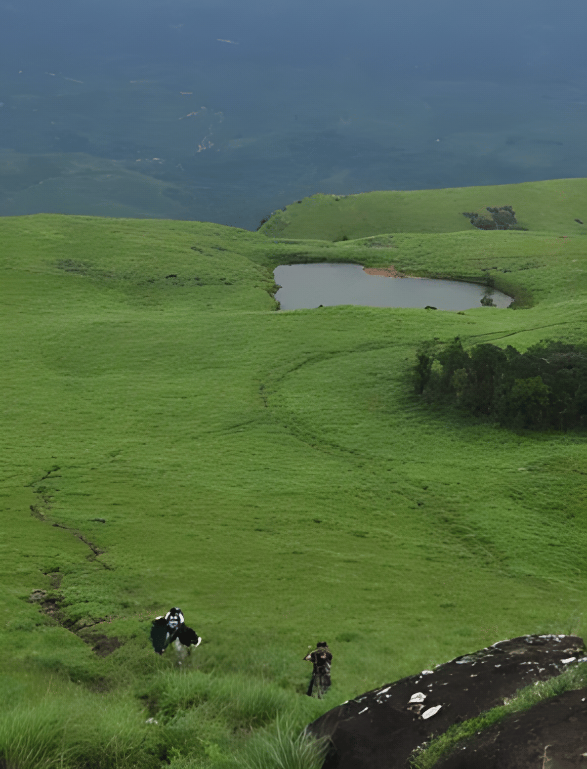 Longest Zipline in Wayanad, Kerala - Prices, Places, Best Time & More