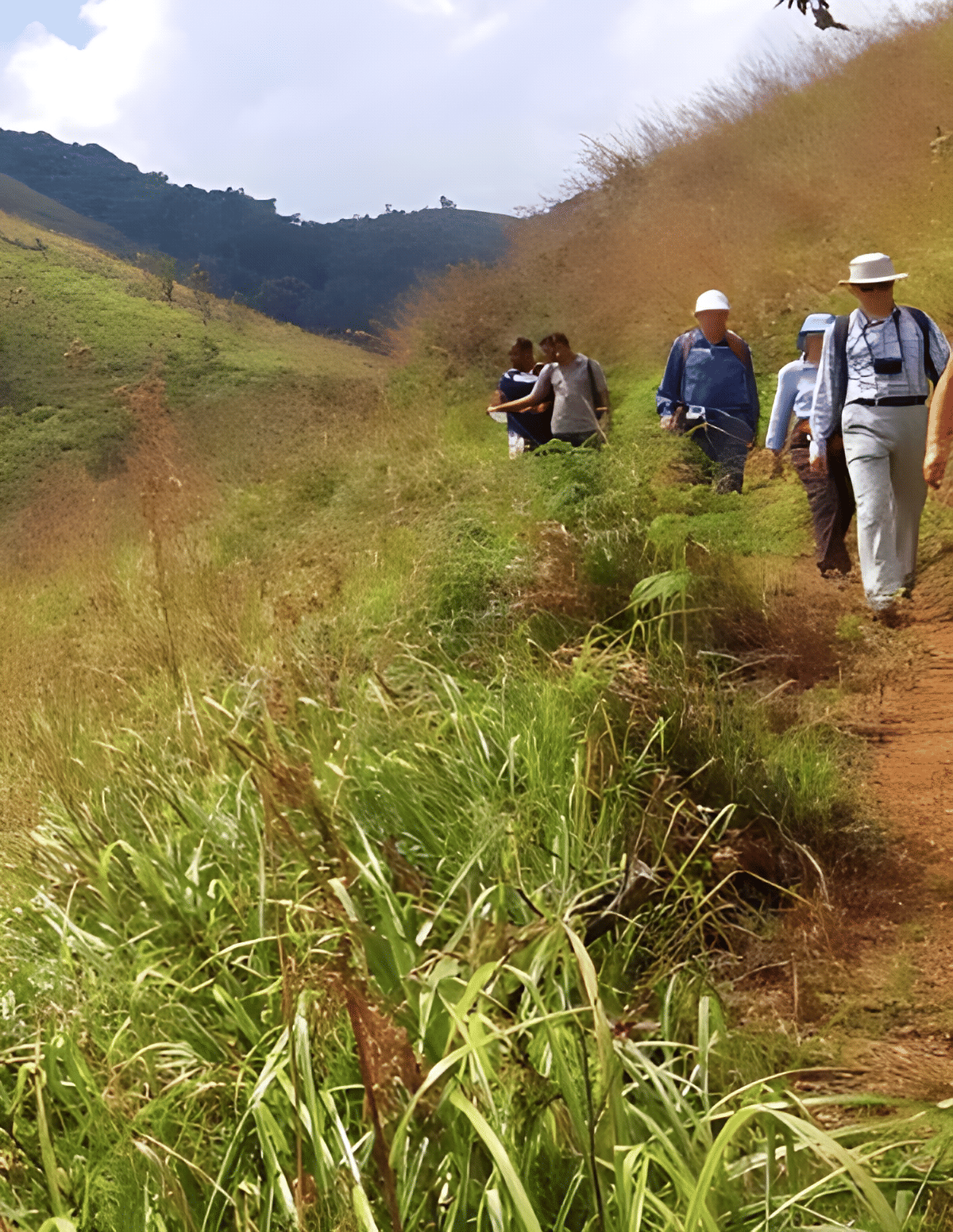 Longest Zipline in Wayanad, Kerala - Prices, Places, Best Time & More