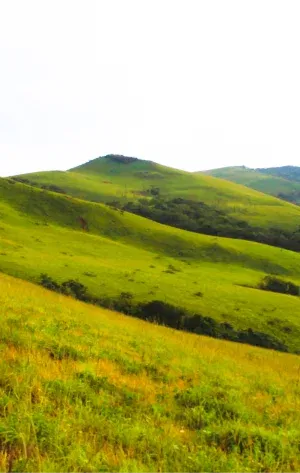 Jungle Resorts, Farm Stays & Outdoor Adventures near Bangalore | Avathi