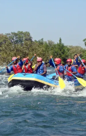 Must-Have Souvenirs Shopping in Mangalore - Avathi