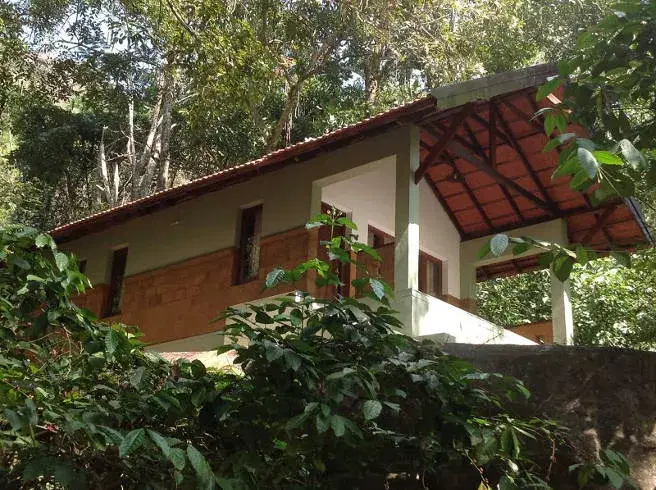 The Stone Age Resort, Wayanad – A Unique Stay Near Edakkal Caves
