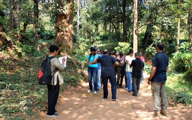 Hike through the Wild Forest of Coorg