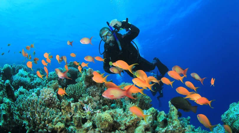 Scuba Diving in Netrani Island, Murudeshwara