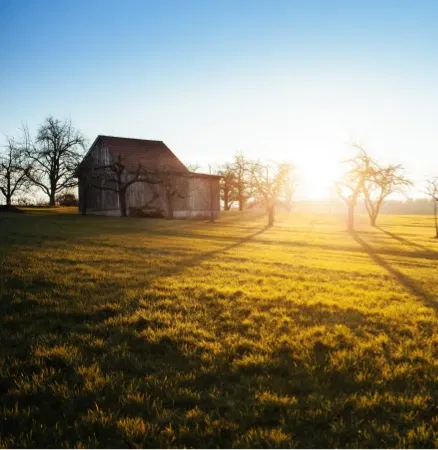 Secret Valley Resort