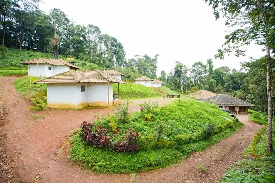 Elegant Hillside Cottages in Coorg