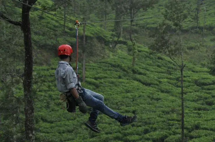 Longest Zipline in Wayanad, Kerala - Prices, Places, Best Time & More