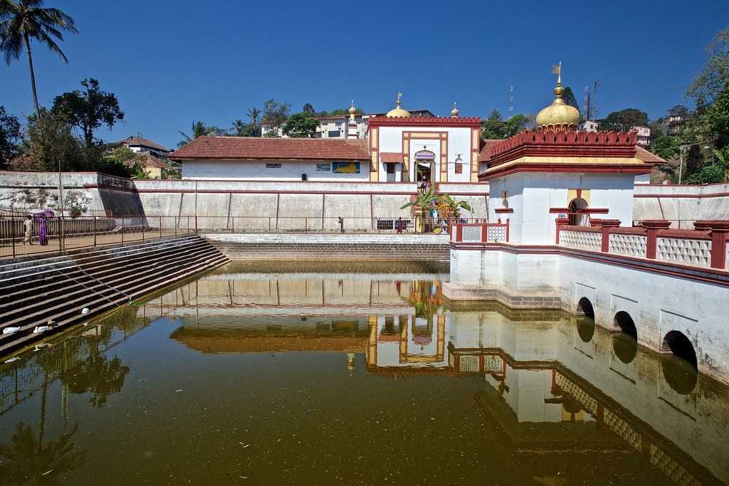 Jungle Resorts, Farm Stays & Outdoor Adventures near Bangalore | Avathi