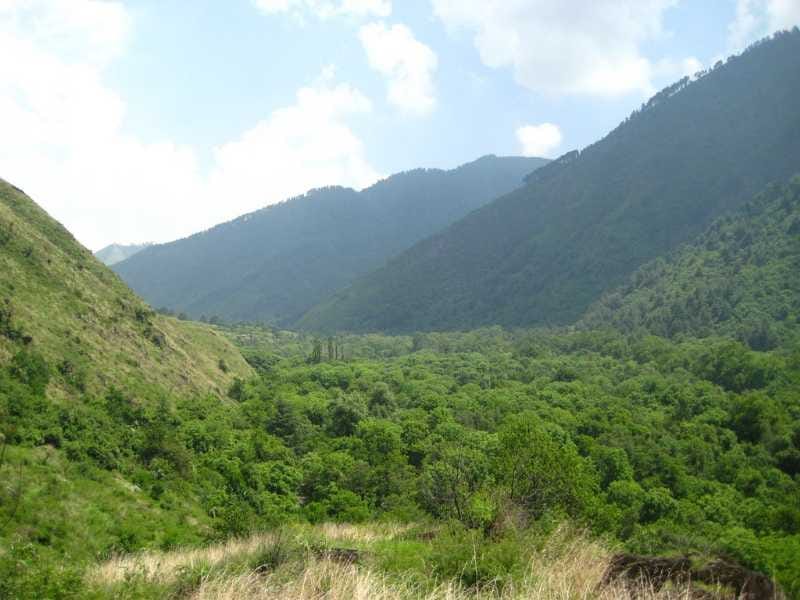 Explore Dachigam National Park , Dachigam-National-Park - A Complete ...