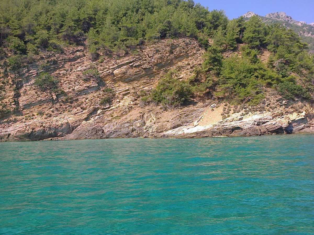 Jungle Resorts, Farm Stays & Outdoor Adventures near Bangalore | Avathi