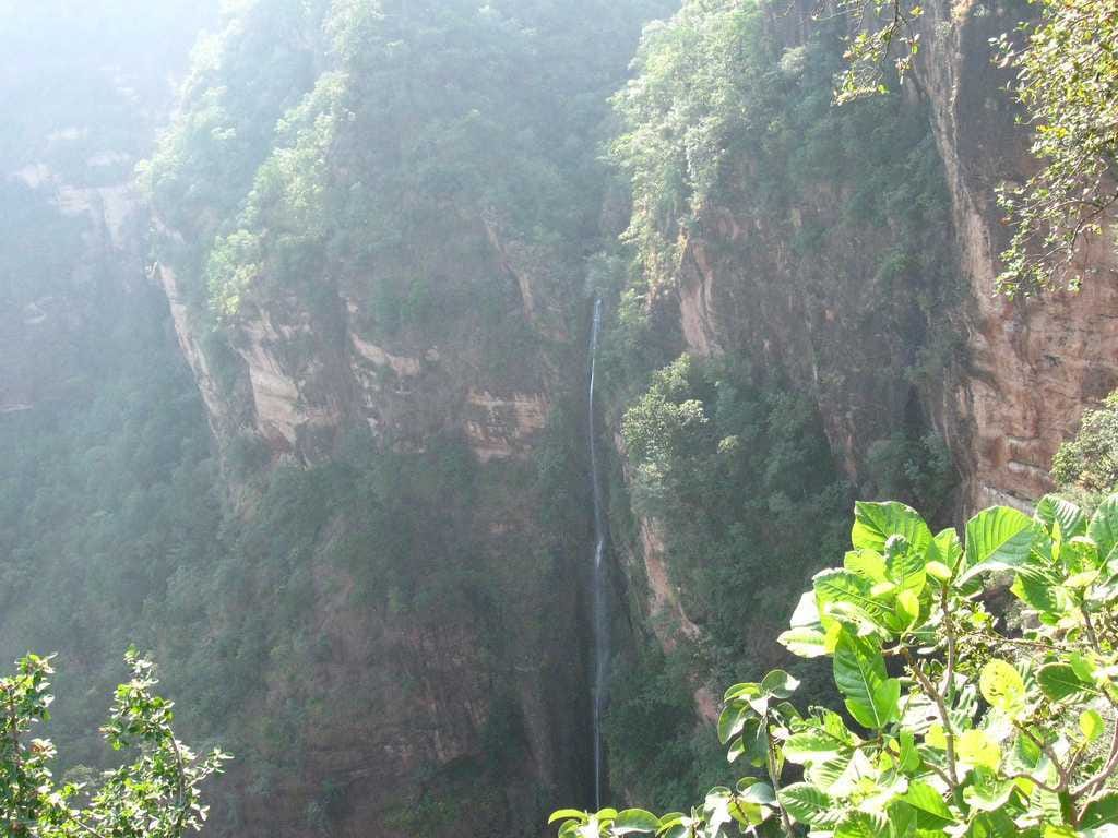Jungle Resorts, Farm Stays & Outdoor Adventures near Bangalore | Avathi