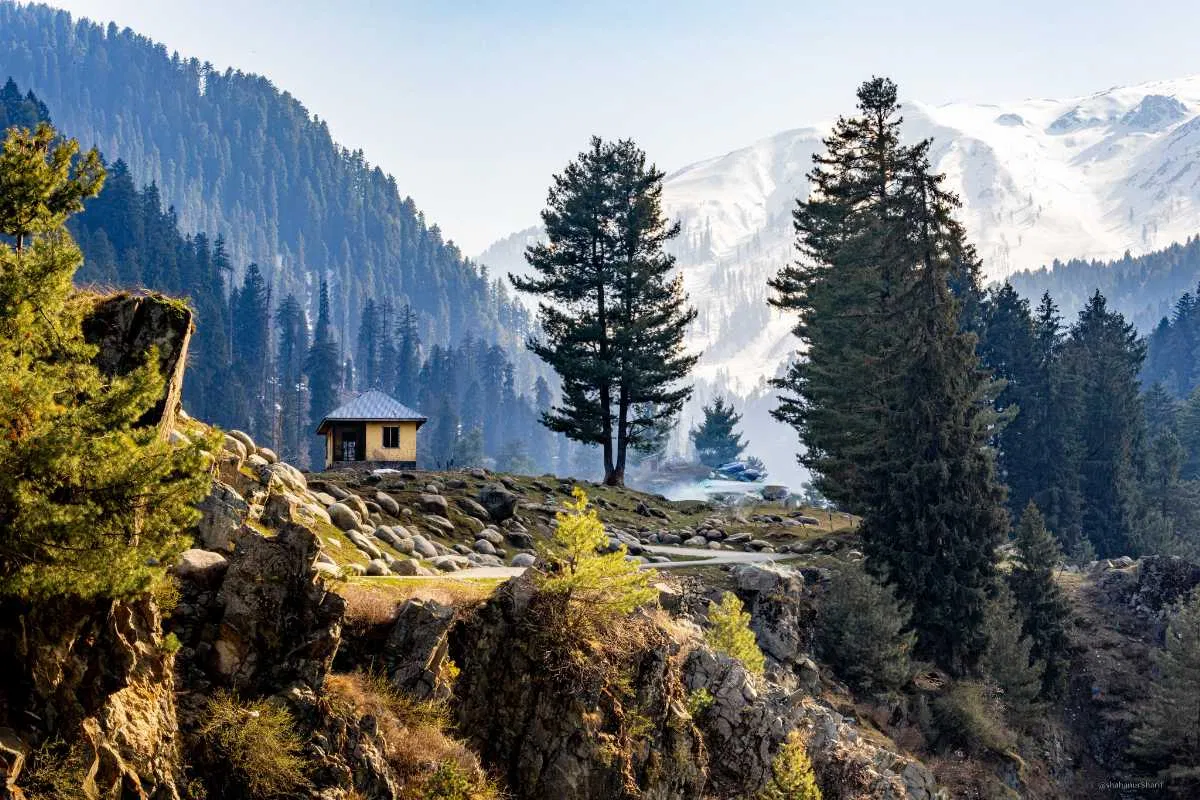 Baisaran Valley Pahalgam Top Things To Do Best Time To 14 Best Places