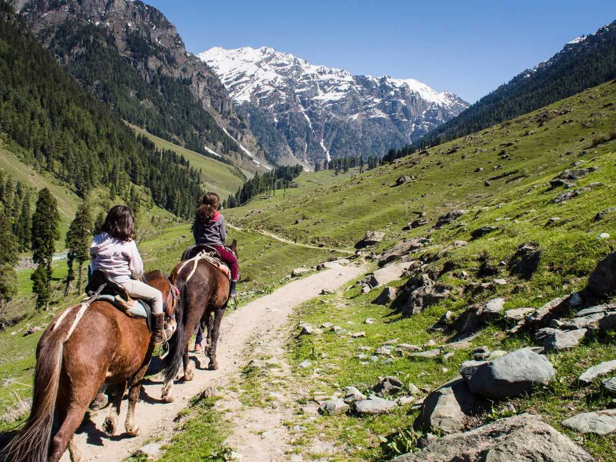 Baisaran Valley Pahalgam Top Things To Do Best Time To 14 Best Places