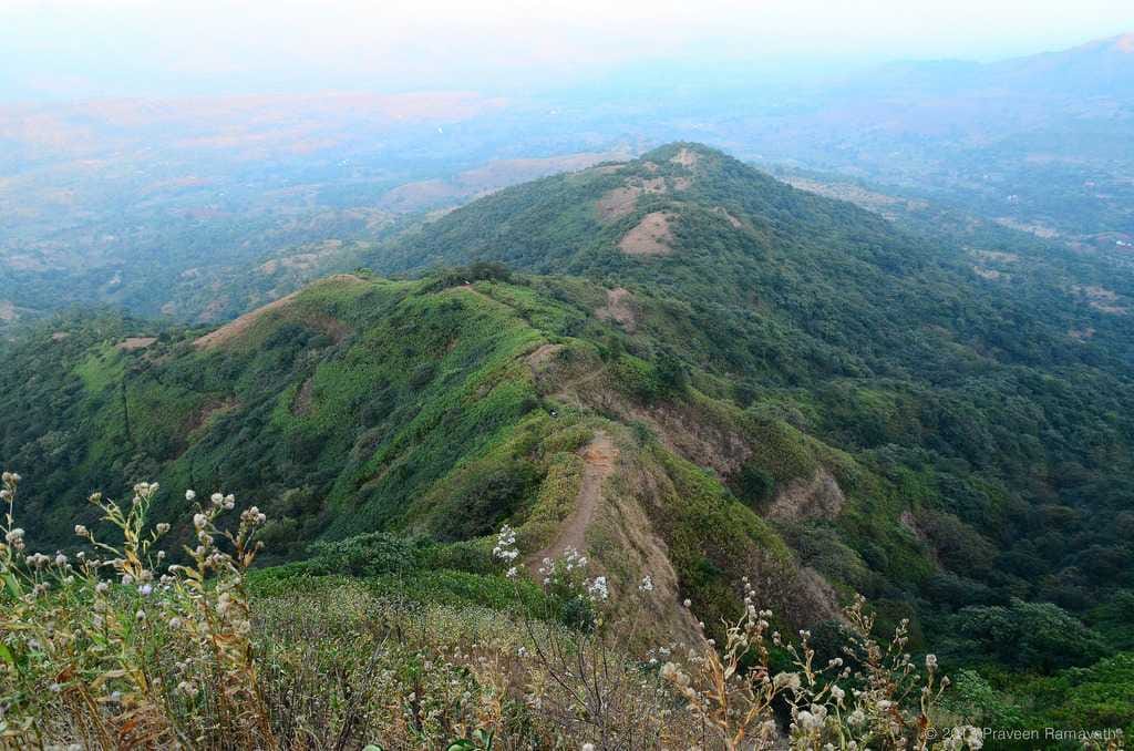 Jungle Resorts, Farm Stays & Outdoor Adventures near Bangalore | Avathi