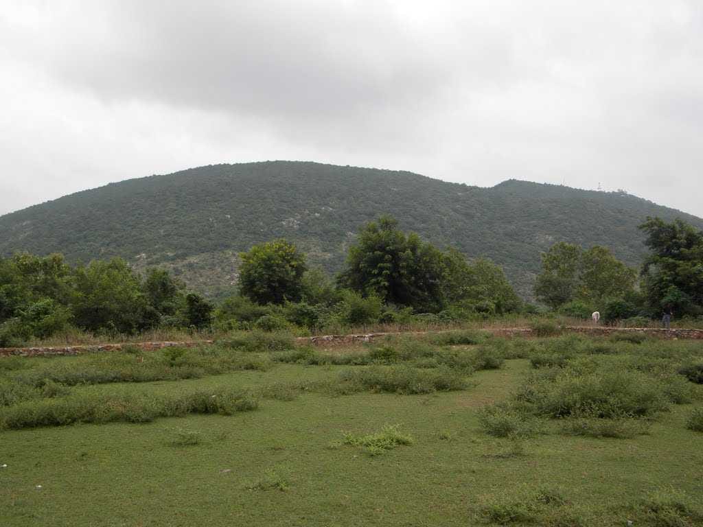 Explore Bimbisara Jail and Japanese Stupa , Rajgir - A Complete Guide ...
