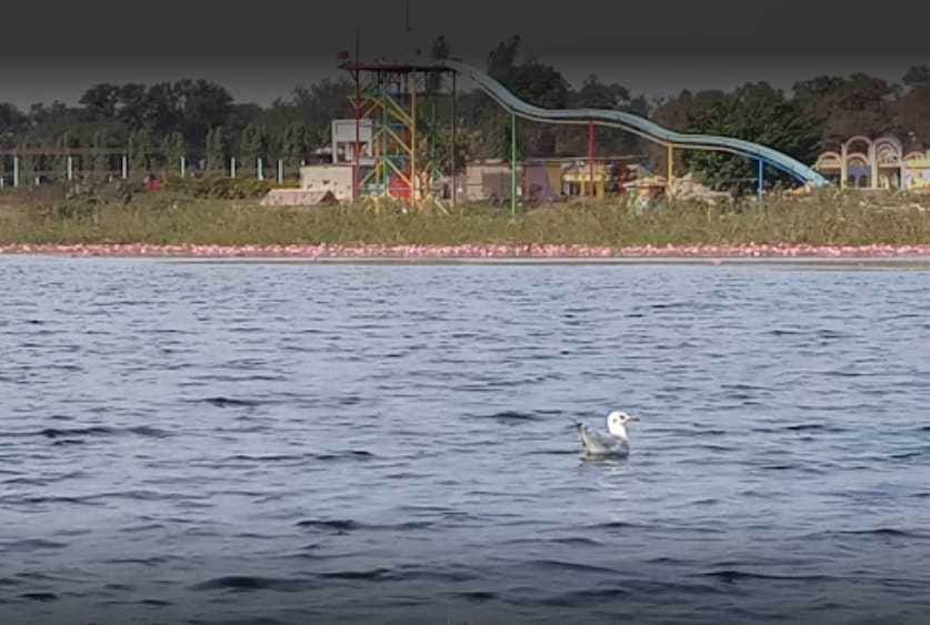 Jungle Resorts, Farm Stays & Outdoor Adventures near Bangalore | Avathi