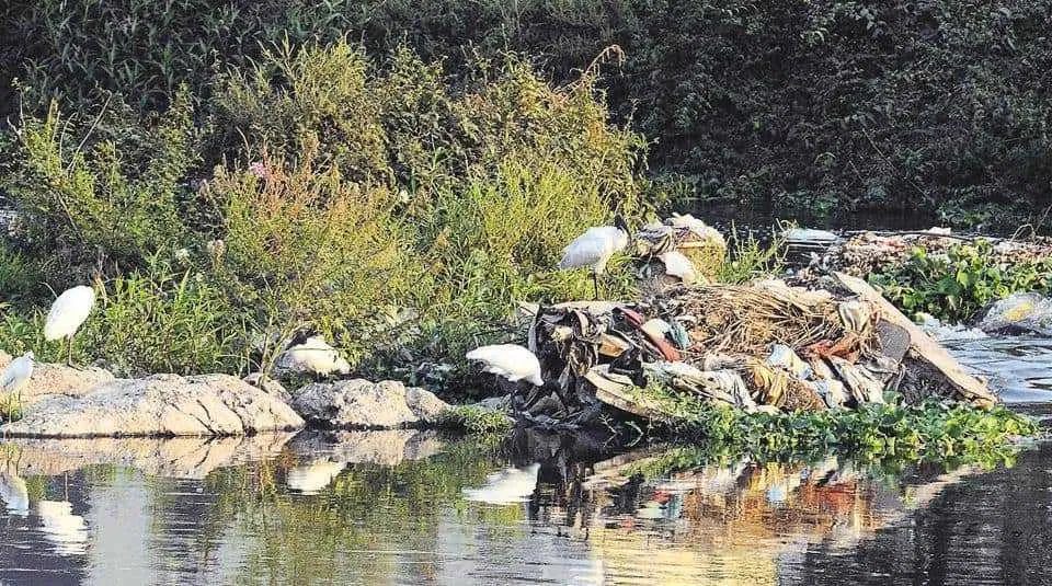 Salim Ali National Park Salim Ali Wildlife Sanctuary: Your Guide To